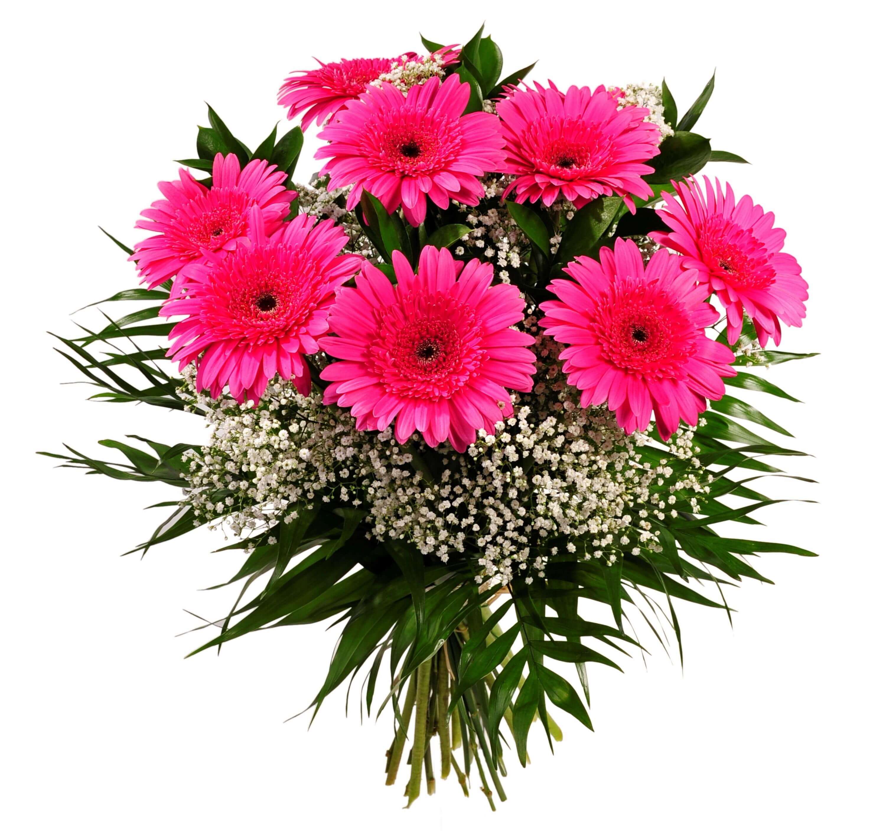 10 PINK GARBERA BOUQUET | CakeGift.in